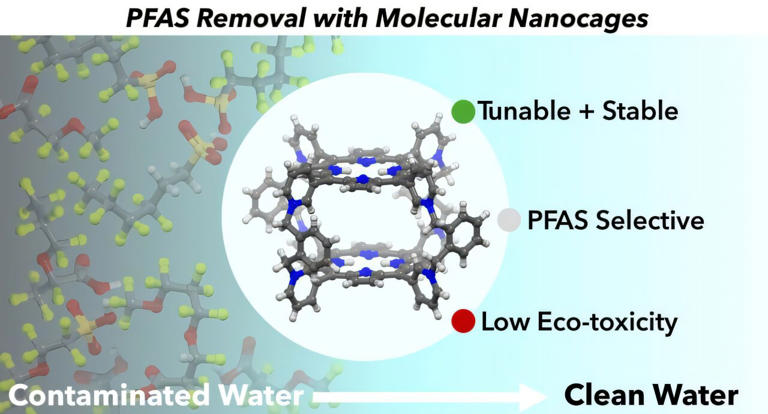 Molecular nanocages can remove 80–90% of PFAS from water