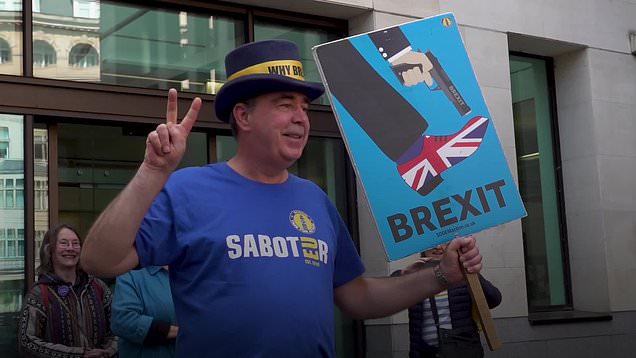 'Stop Brexit Man' cleared of flouting ban on playing music near Parliament