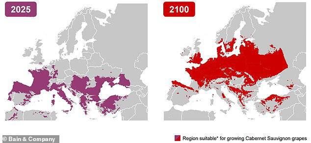 What the Hull? Wine grapes could be grown in YORKSHIRE by 2100