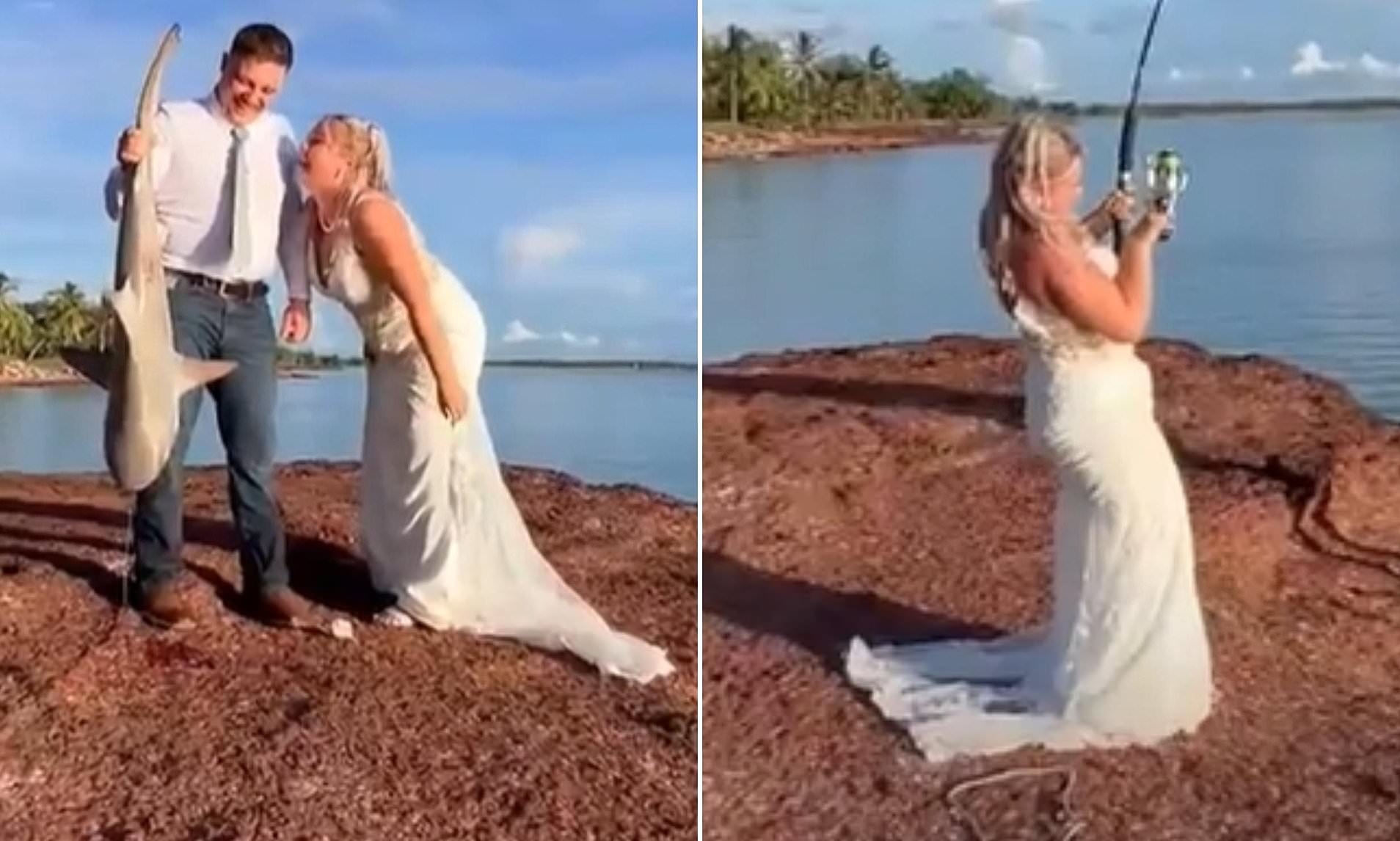 Aussie bride reels in a monster shark moments after getting hitched