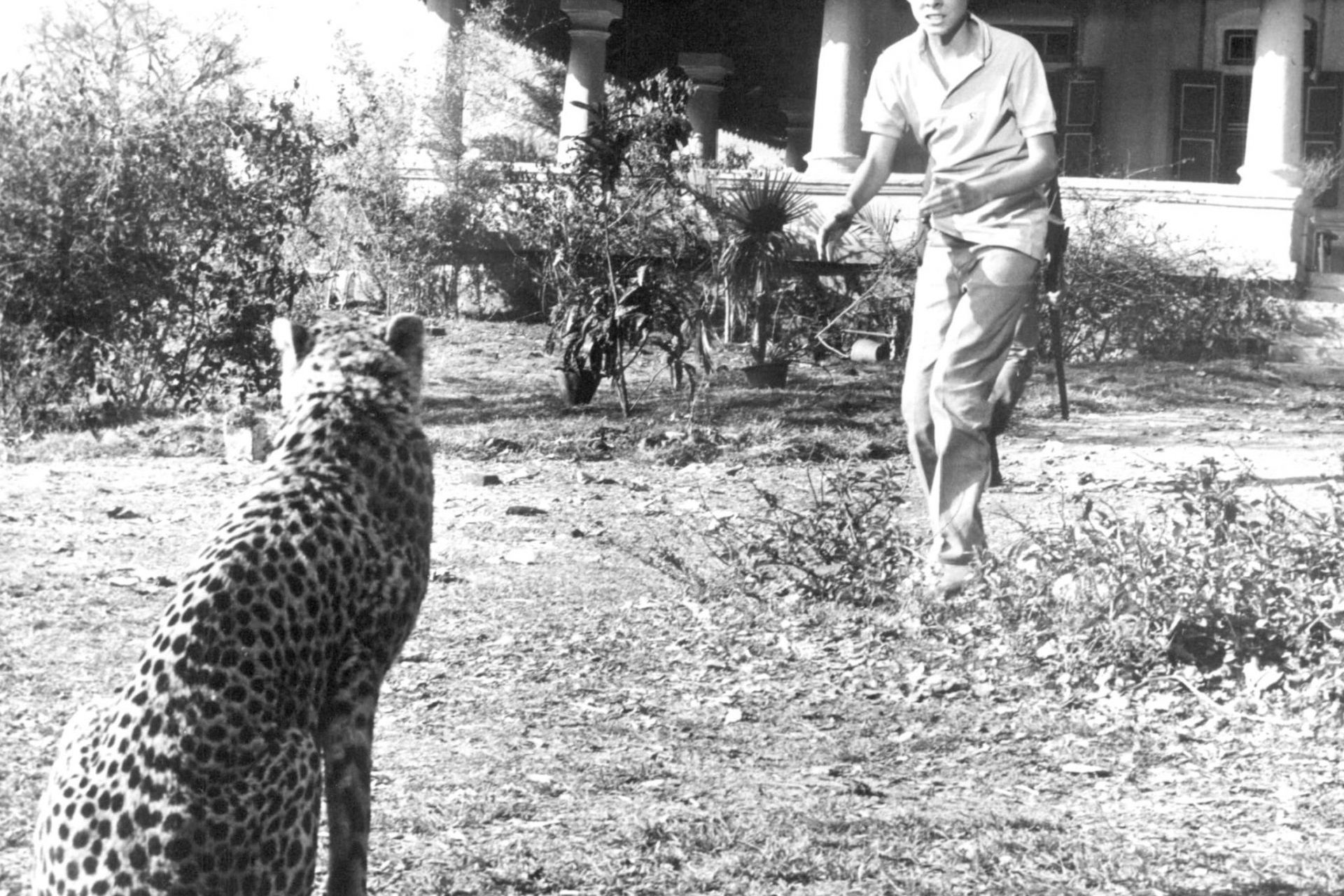 The life and death of Hollywood's first Dennis the Menace, Jay North