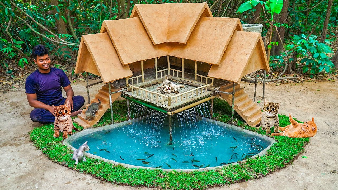 We Rescued a Kitten and Built a Cat Resort in the Forest!
