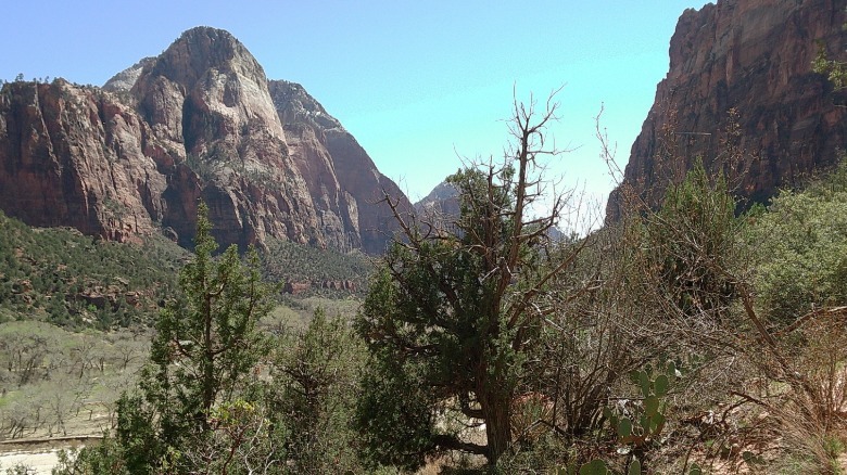 5 Digital Cameras That Give You The Nostalgic Kodak Look And Feel