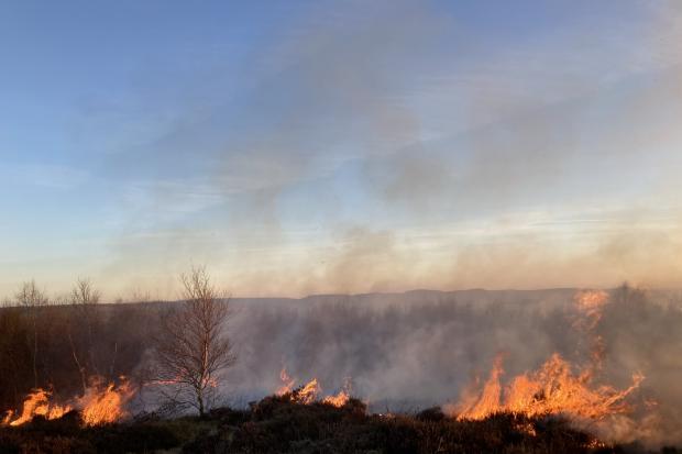 Fire brigade faced hundreds of calls after nine 'deliberate' fires set ...