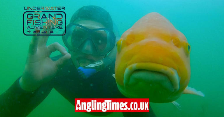 The Grand Fishing Adventure is BACK with more carp than ever