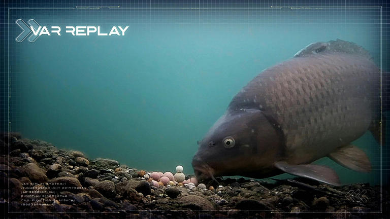 The Grand Fishing Adventure is BACK with more carp than ever