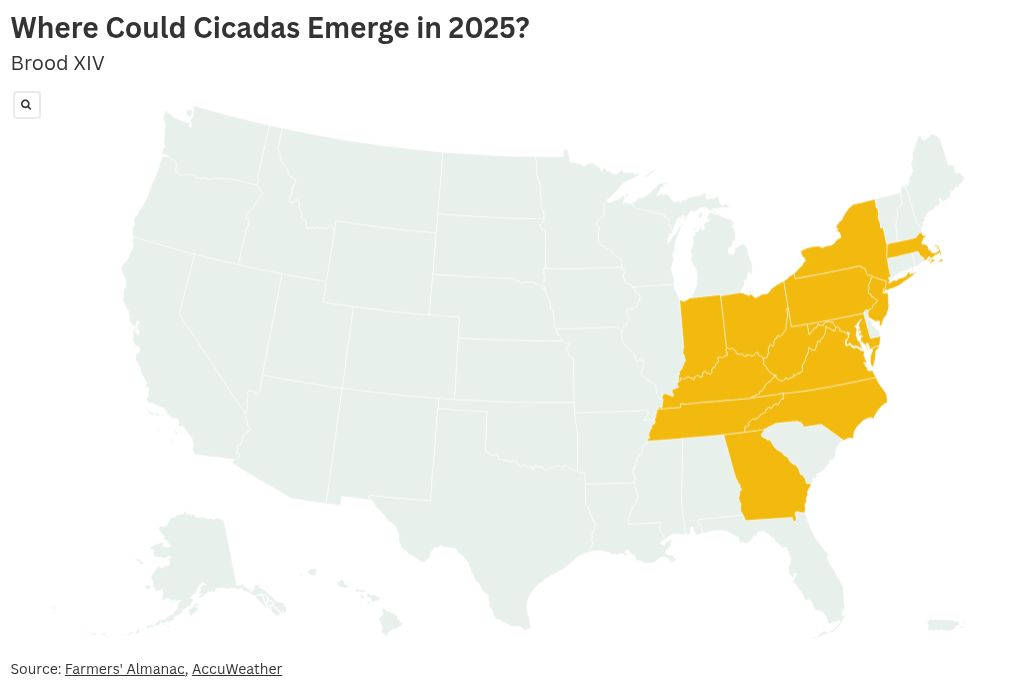 Cicada Map Reveals States Where Trillions of Bugs Will Emerge