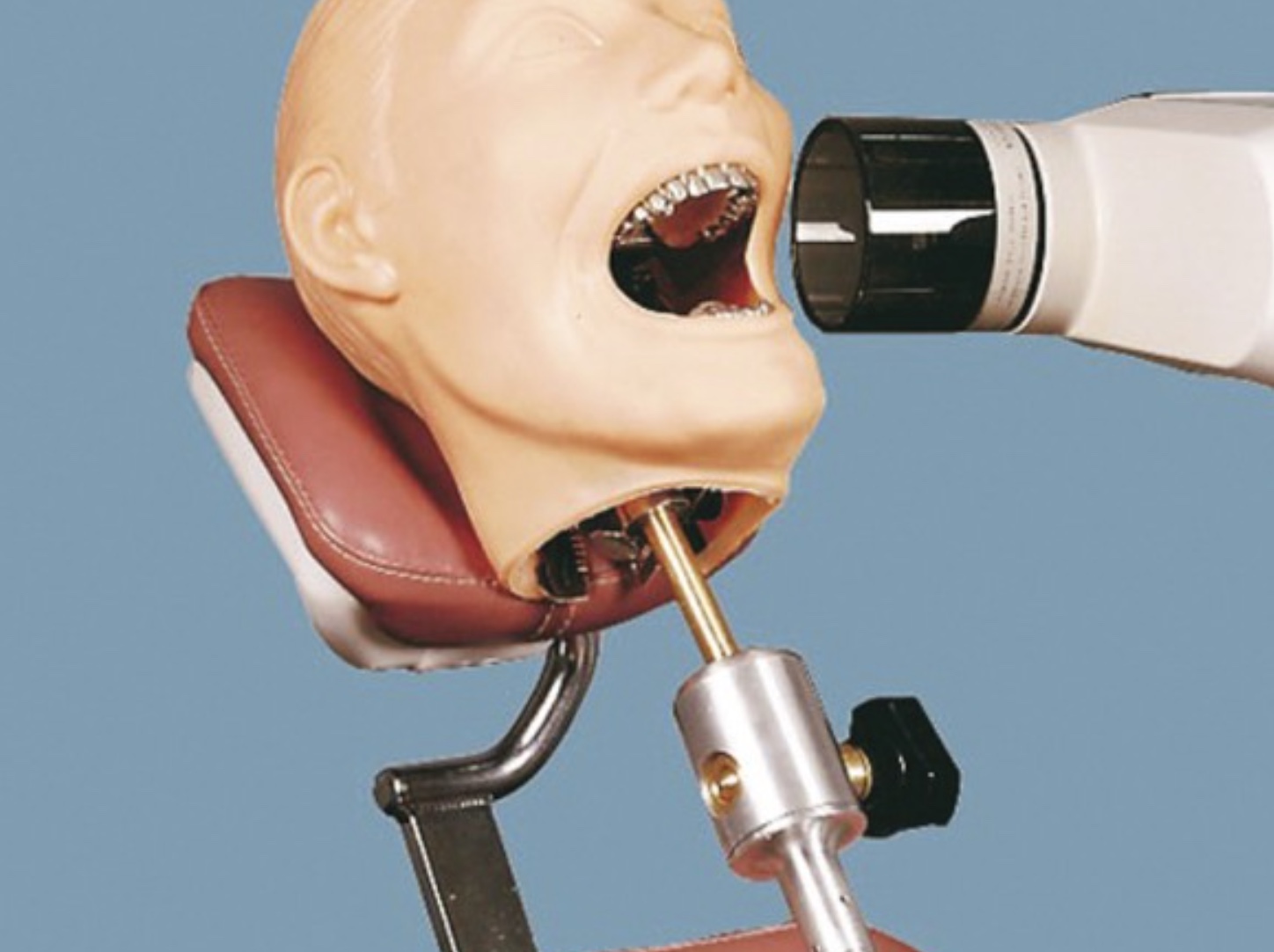 29 Creepy Fake Human Bodies for Practicing X-Rays