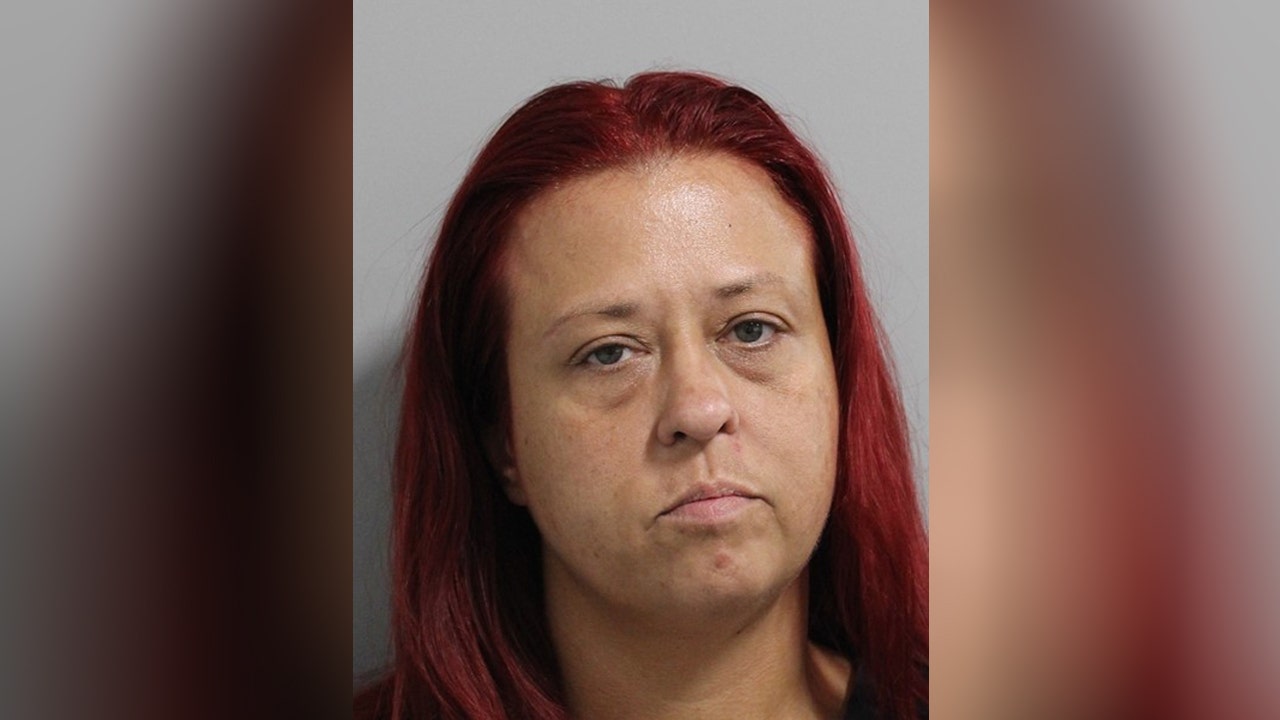 Florida woman accused of hitting estranged husband's girlfriend with ...