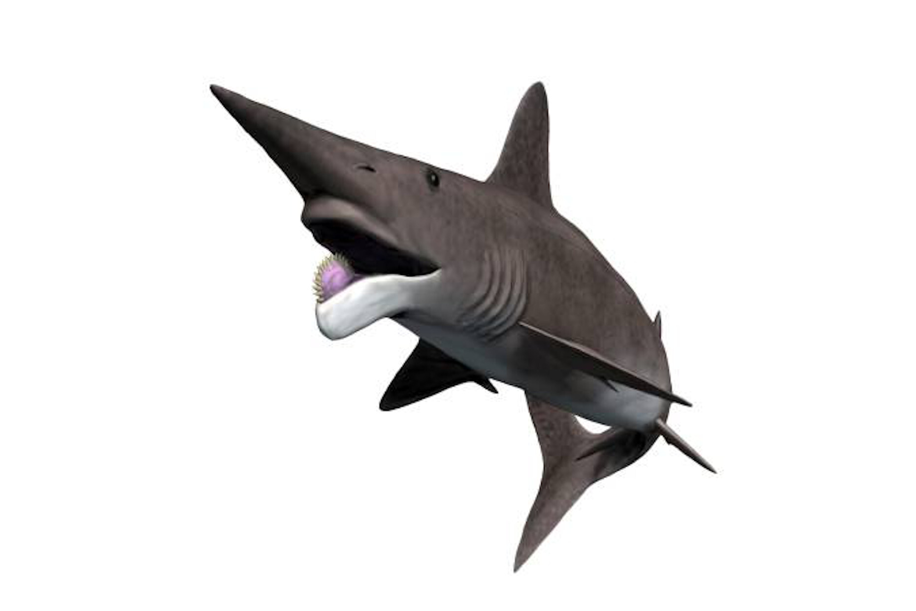Odd prehistoric animals you never knew existed
