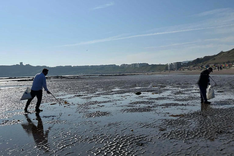 Volunteers unite for first Sea Life Beach Clean of the year in Scarborough