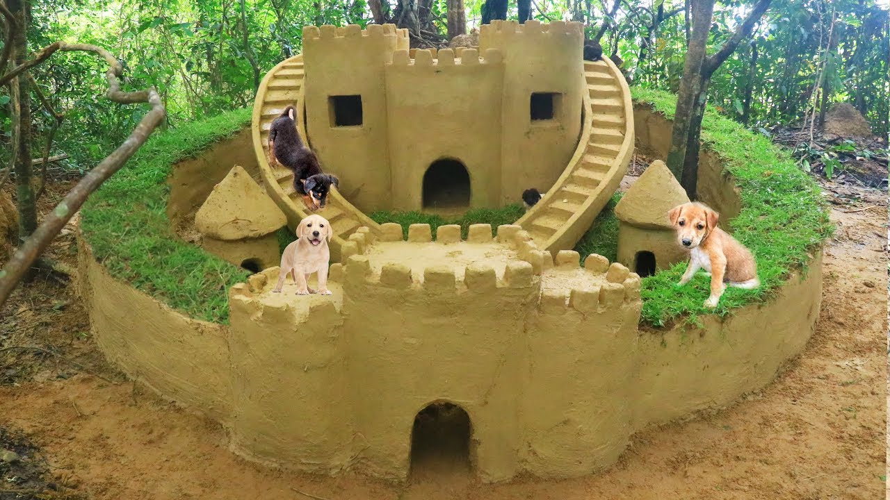 Building a Great Wall Around a Castle Dog House for Rescued Puppies!