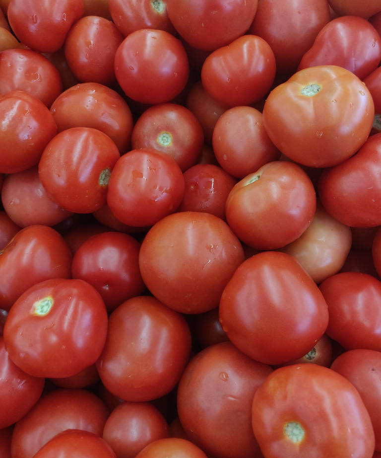 7 of the best tomatoes for growing in pots - expert growers pick their ...