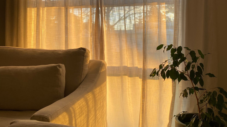 How To Fake Golden Hour With Curtains For A Glow Any Time Of Day