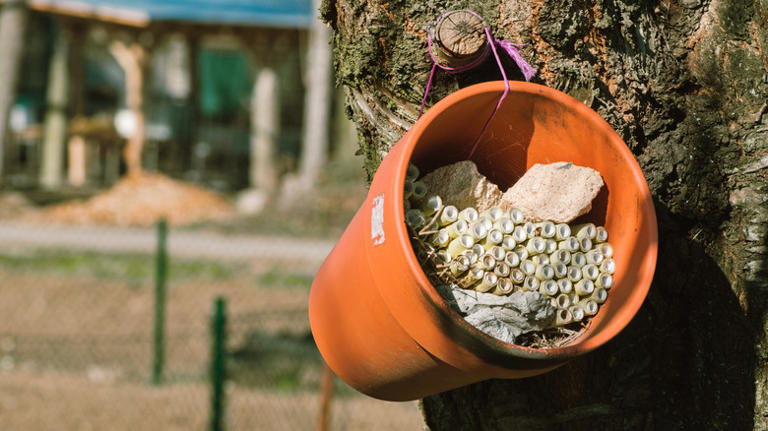 Save Your Plastic Nursery Pots For A DIY That'll Make Your Garden A ...