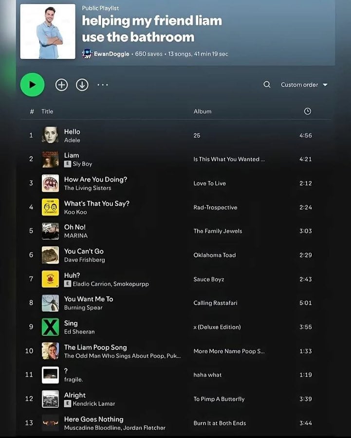 40 Hilariously Weird Spotify Playlists Making Jokes Out Of Song Titles
