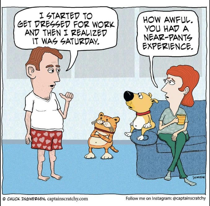 50 Delightful Animal Comics From The Hilarious Captain Scratchy