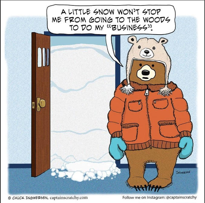 50 Delightful Animal Comics From The Hilarious Captain Scratchy