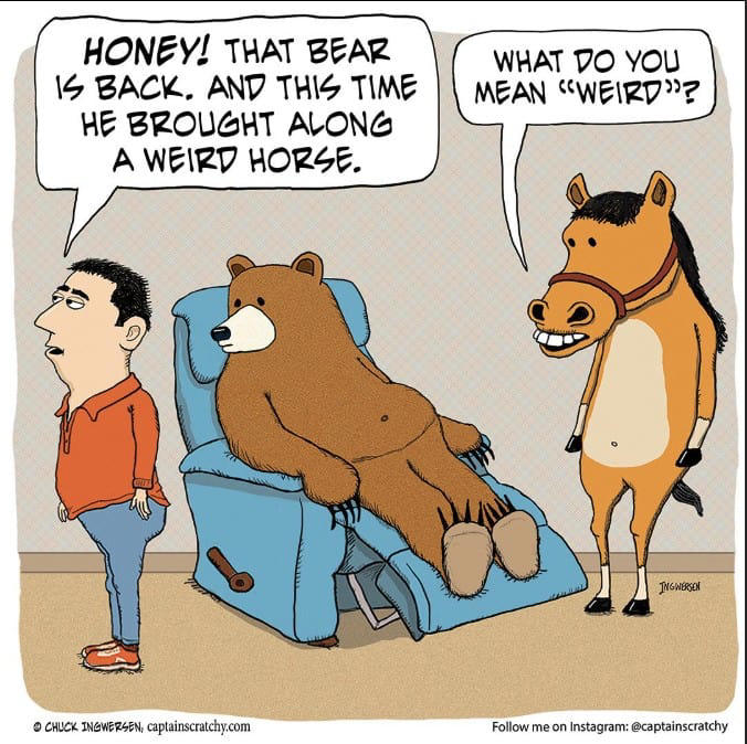 50 Delightful Animal Comics From The Hilarious Captain Scratchy