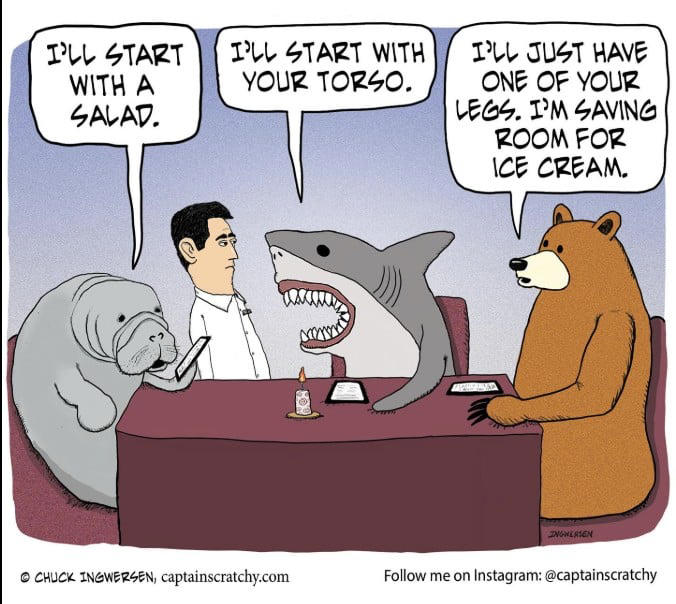 50 Delightful Animal Comics From The Hilarious Captain Scratchy