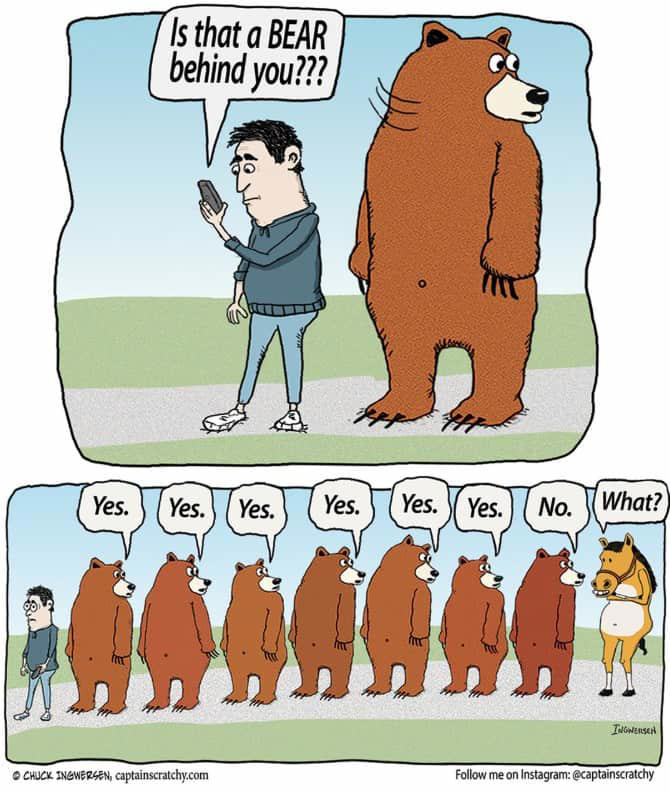 50 Delightful Animal Comics From The Hilarious Captain Scratchy