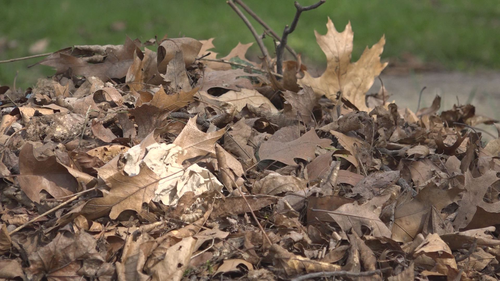 Mishawaka’s spring leaf pickup program begins