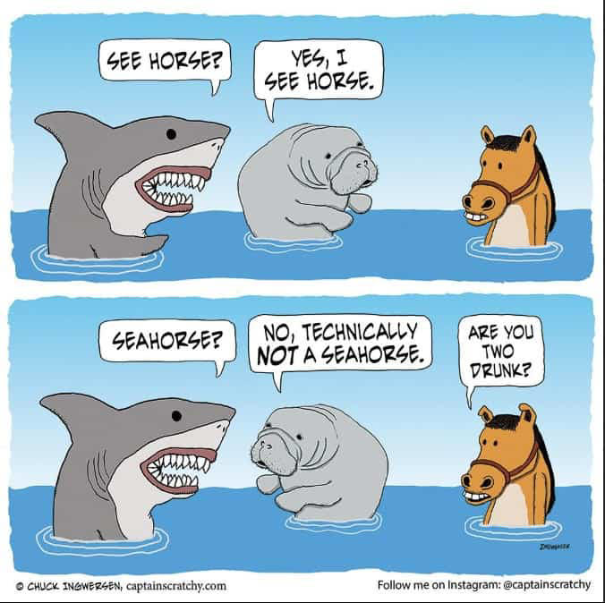 50 Delightful Animal Comics From The Hilarious Captain Scratchy