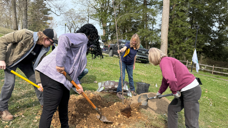 The Friendly City celebrates Arbor Day with native tree planting at ...