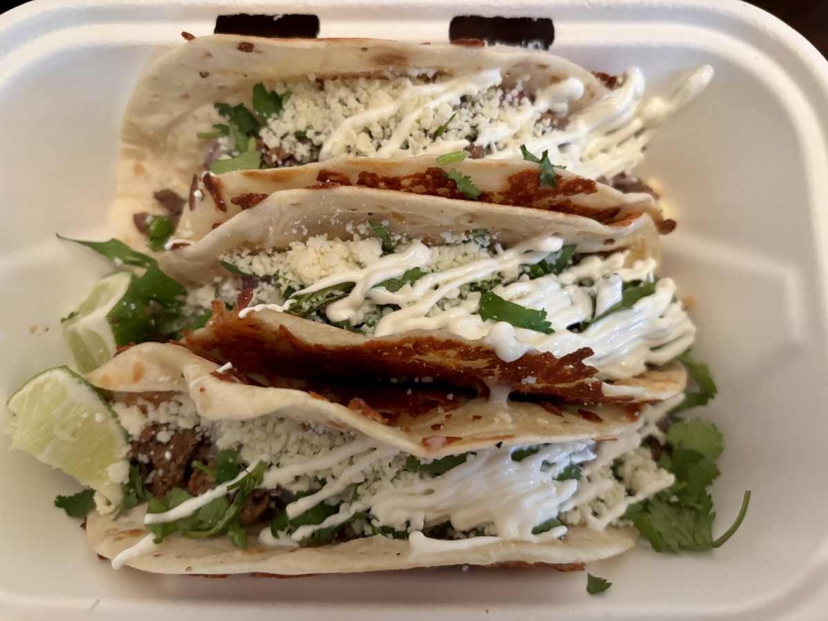 Da Cocinita Magic Taco