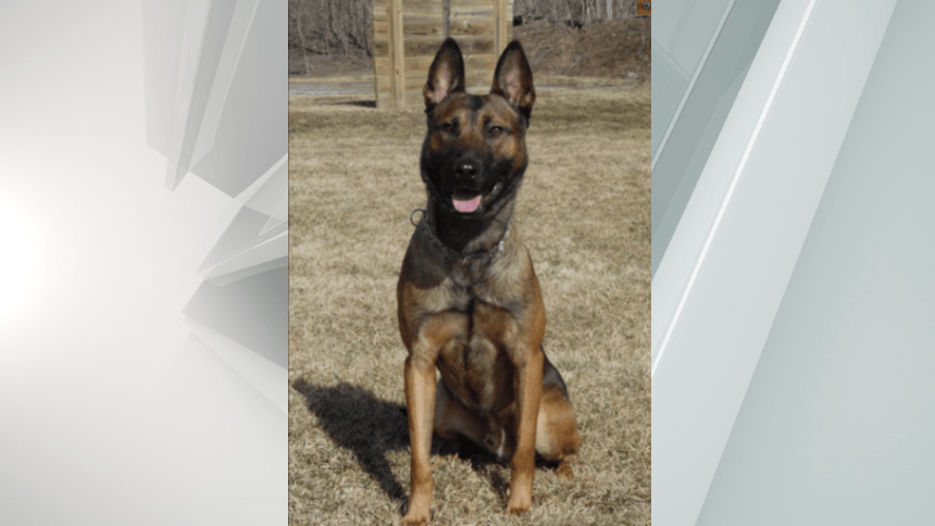 Chambersburg Police announce passing of K-9 Basco