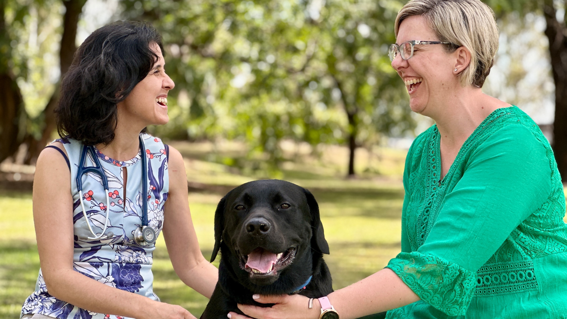 University of Queensland researchers to study impact of obesity on dogs