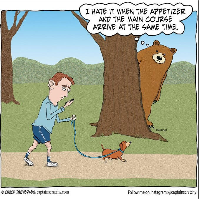 50 Delightful Animal Comics From The Hilarious Captain Scratchy