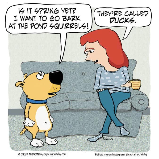 50 Delightful Animal Comics From The Hilarious Captain Scratchy