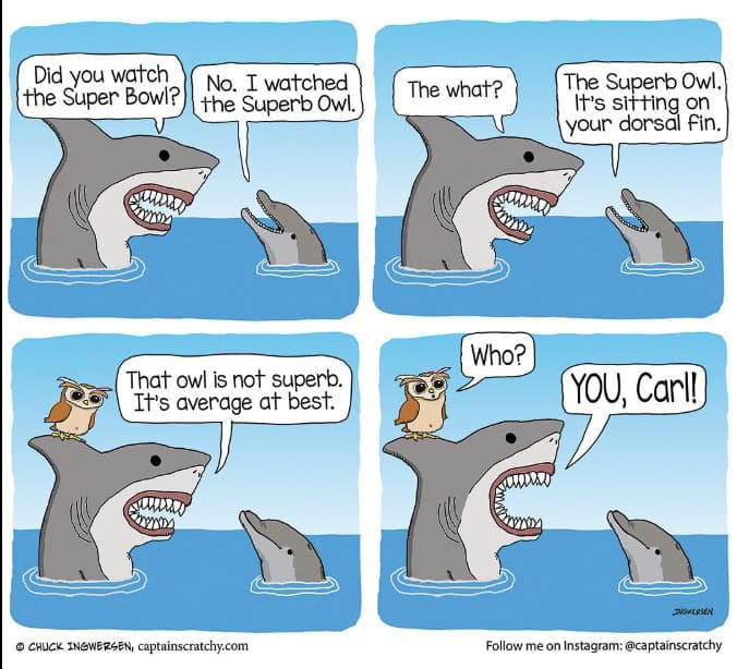 50 Delightful Animal Comics From The Hilarious Captain Scratchy