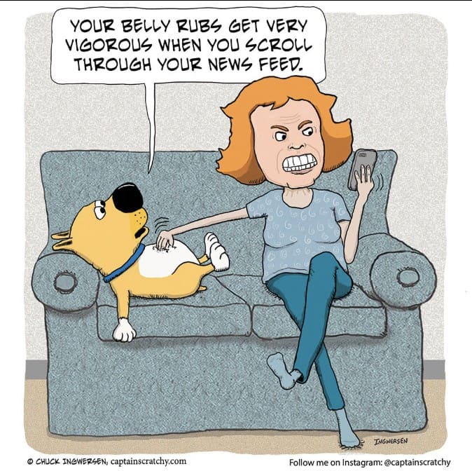 50 Delightful Animal Comics From The Hilarious Captain Scratchy