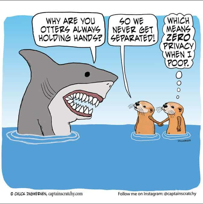 50 Delightful Animal Comics From The Hilarious Captain Scratchy
