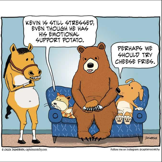 50 Delightful Animal Comics From The Hilarious Captain Scratchy