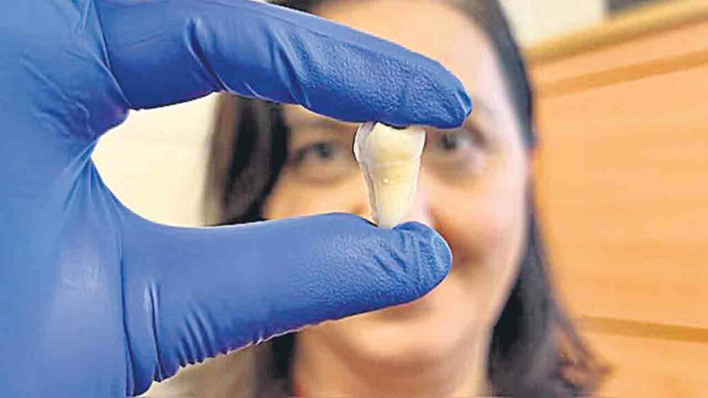Lab-Grown Teeth | ప్రయోగశాలలో మానవ దంతం అభివృద్ధి.. ఇంప్లాంట్స్ ...