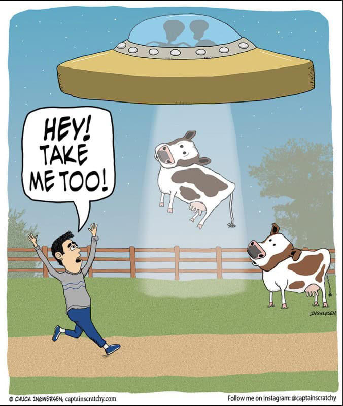 50 Delightful Animal Comics From The Hilarious Captain Scratchy