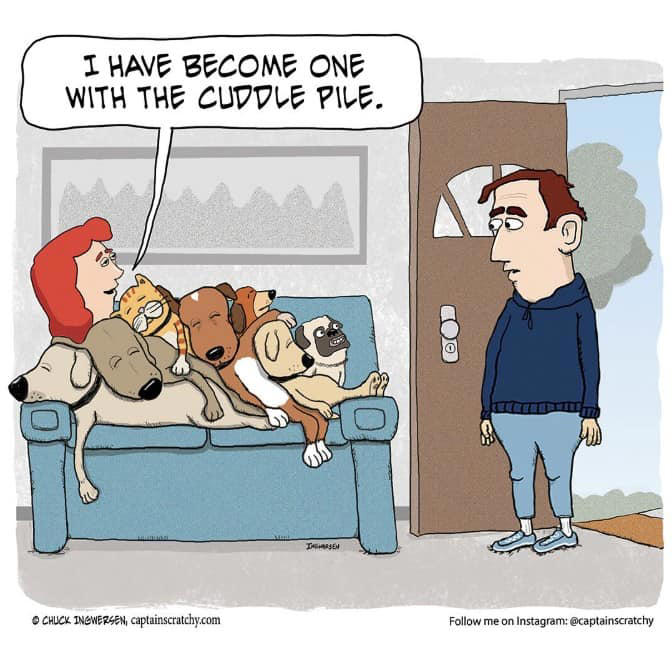 50 Delightful Animal Comics From The Hilarious Captain Scratchy