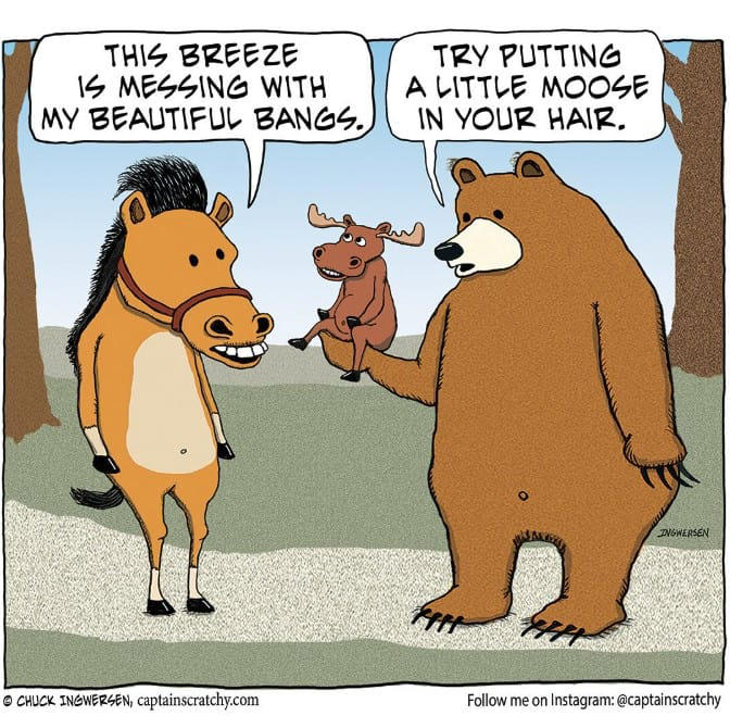 50 Delightful Animal Comics From The Hilarious Captain Scratchy