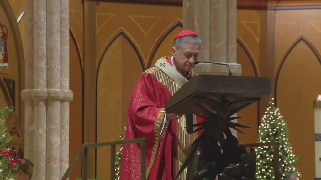 Chicago priest Fr. Matthew Foley reinstated after being cleared of ...