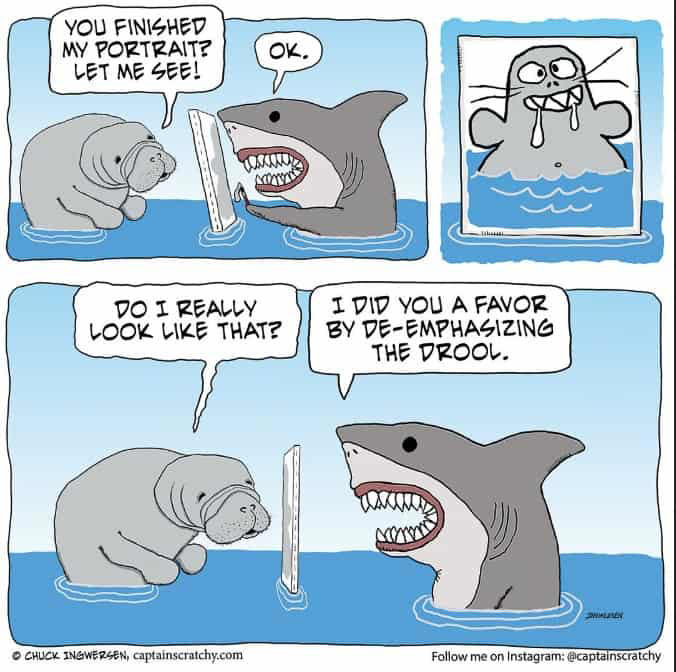 50 Delightful Animal Comics From The Hilarious Captain Scratchy