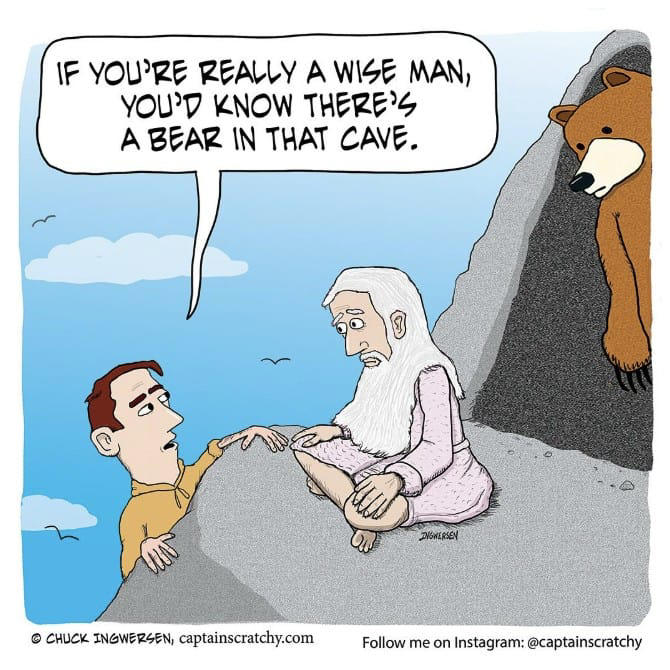 50 Delightful Animal Comics From The Hilarious Captain Scratchy