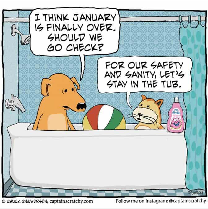 50 Delightful Animal Comics From The Hilarious Captain Scratchy