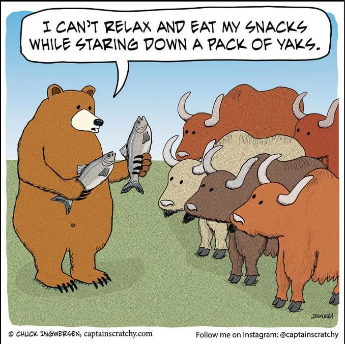 50 Delightful Animal Comics From The Hilarious Captain Scratchy