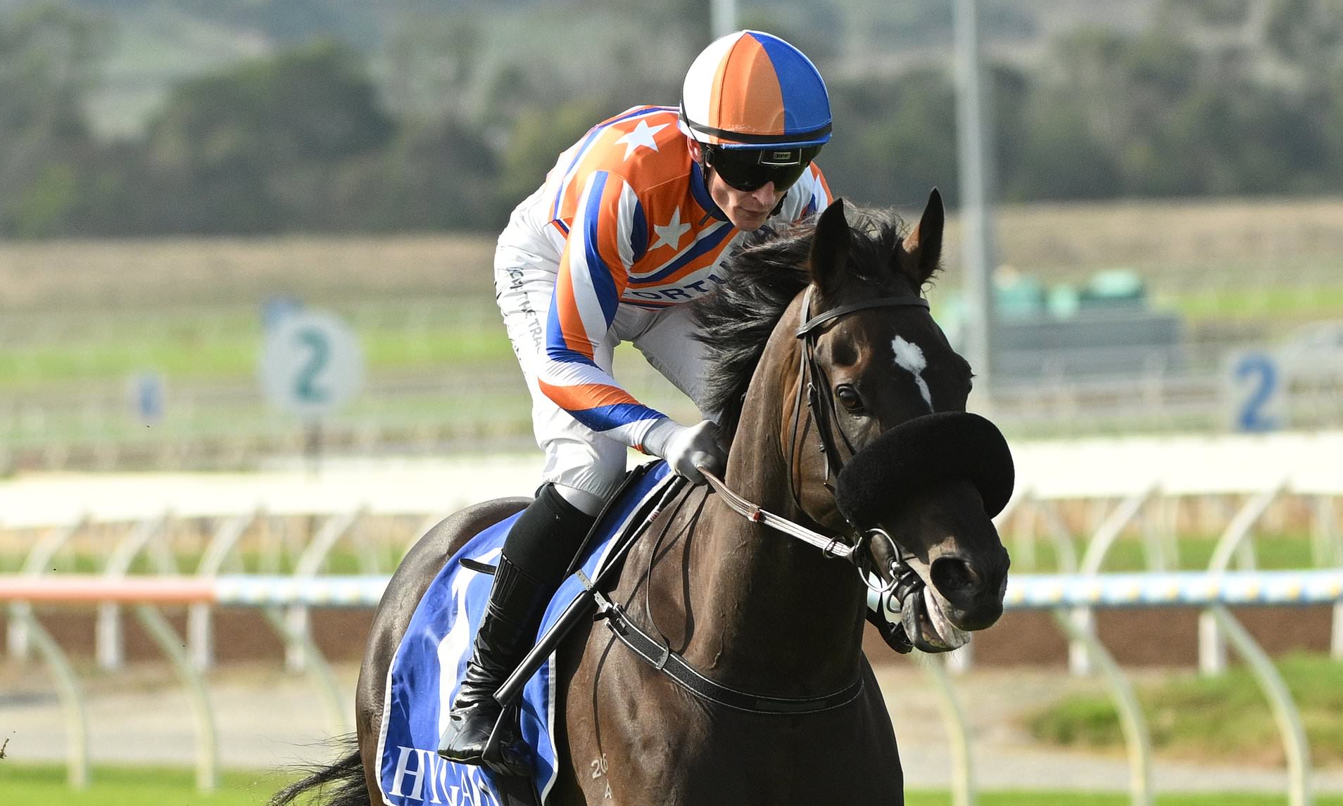 Robin Goodfellow's racing tips: Best bets for Tuesday, April 15