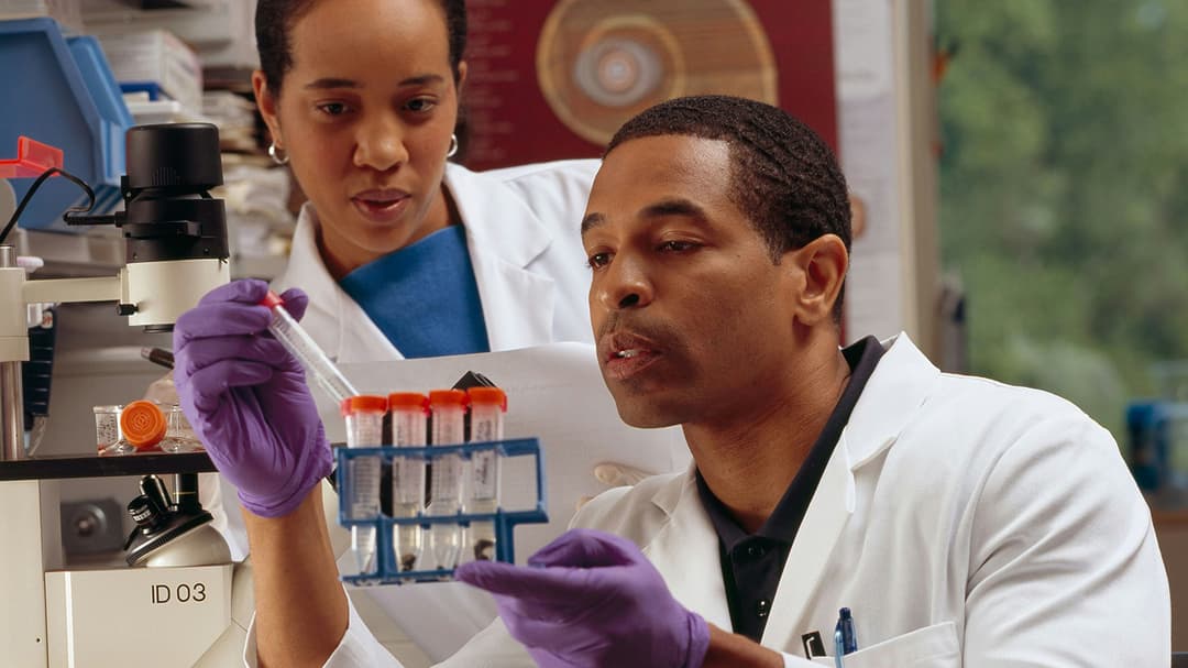 ‘Ligma’ could become a recognized medical condition thanks to one man’s ...