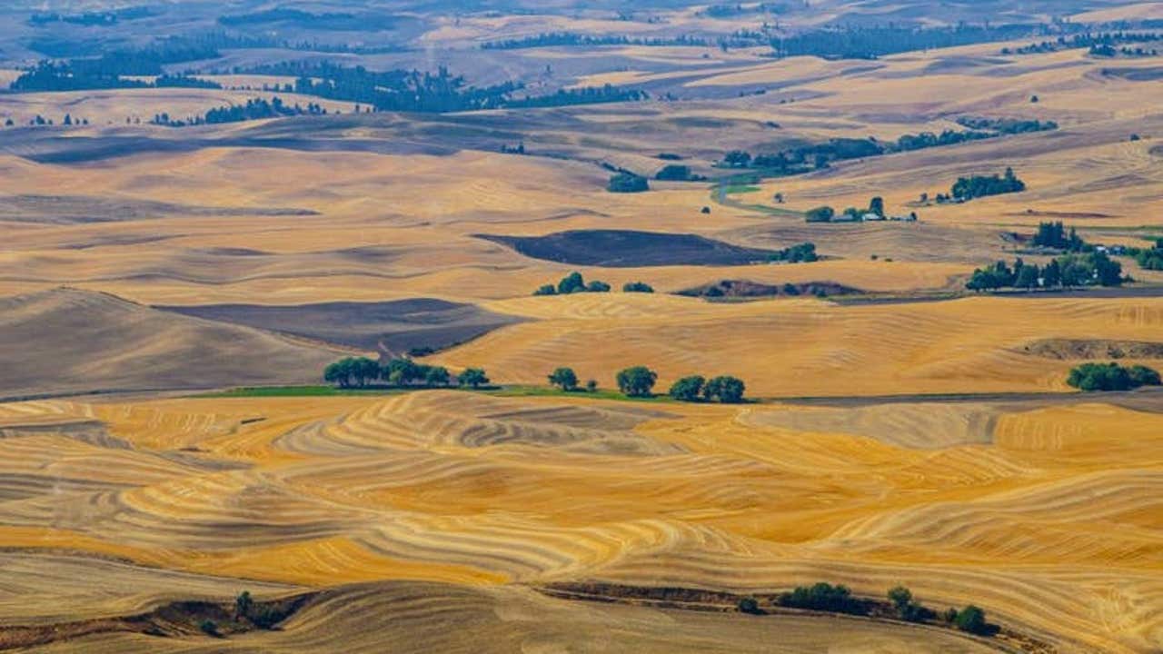 Drought emergency declared in Central Washington: 'This is the new normal'