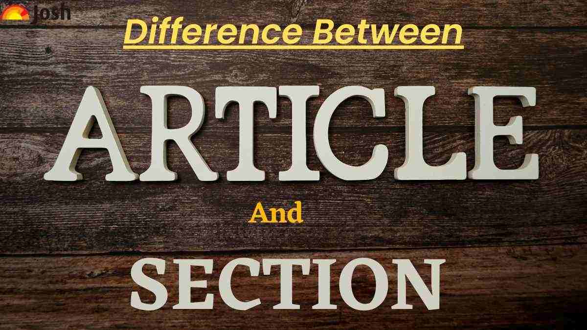 What is the Difference Between an Article and a Section?